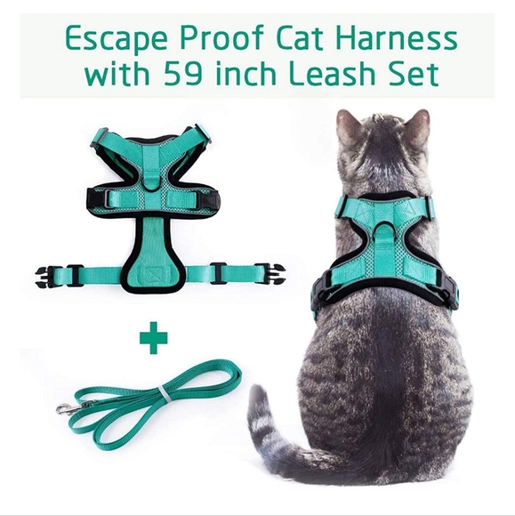 Rabbitgoo | Cat | New Rabbitgoo Emerald Teal Cat Mesh Reflective Leash ...